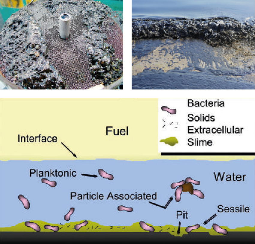 Stop the Diesel Bug and use Exocet Anti Bug Additive