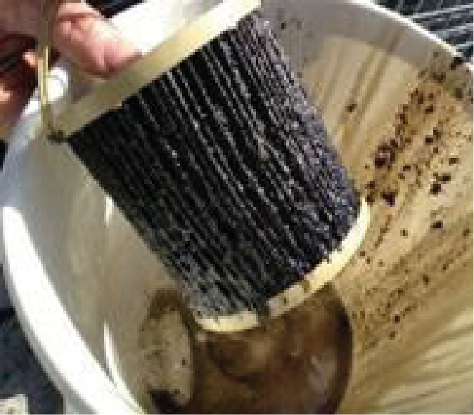 Stop the Diesel Bug taking root in your Fuel and your tank by using ...